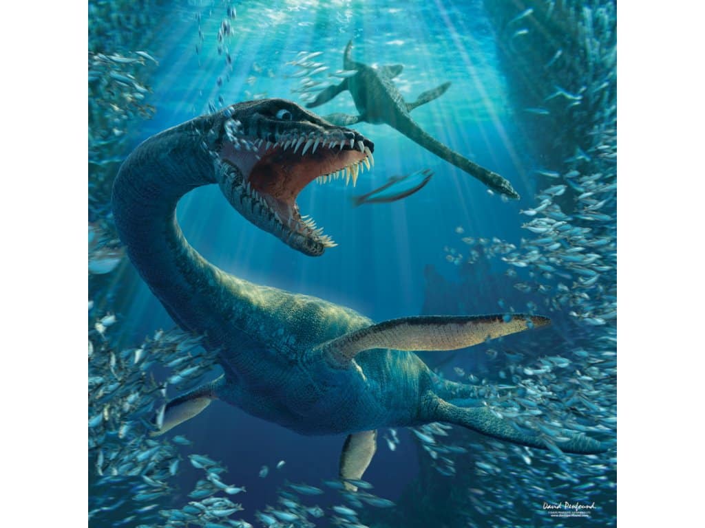 Plesiosaurus - The First Discovered Marine Reptile