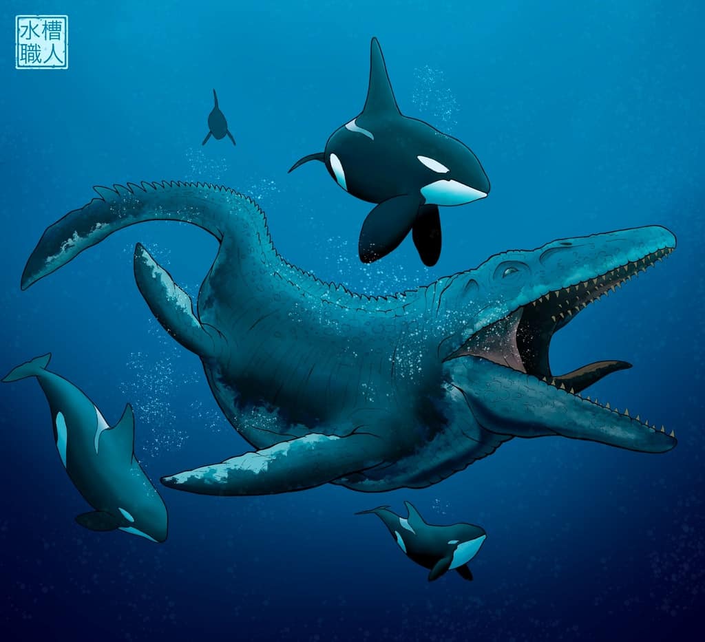 Mosasaurus Vs Orcas : Who Would Win Mosasaurus Vs Orcas : Who Would Win
